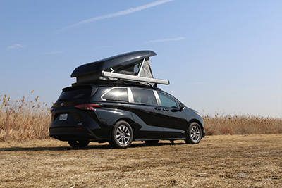 Unicamp Sienna Pop Top - UNICAMP USA