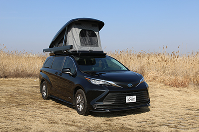 Unicamp Sienna Pop Top - UNICAMP USA